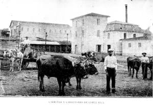 Antigua Fábrica de Licores, FANAL…hoy Centro Nal. de la Cultura (CENAC ...