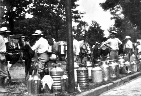 El lechero | Mi Costa Rica de Antaño