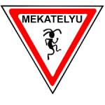 Idiomas y dialectos en Costa Rica | Mi Costa Rica de Antaño