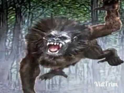 El Mico Malo, Leyenda Costarricense. | Mi Costa Rica de Antaño